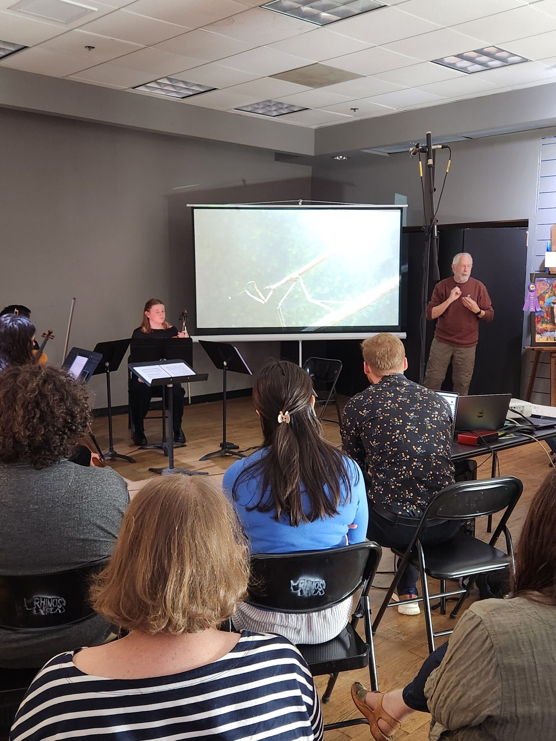 Nature Walk Music - Artists for Climate Awareness