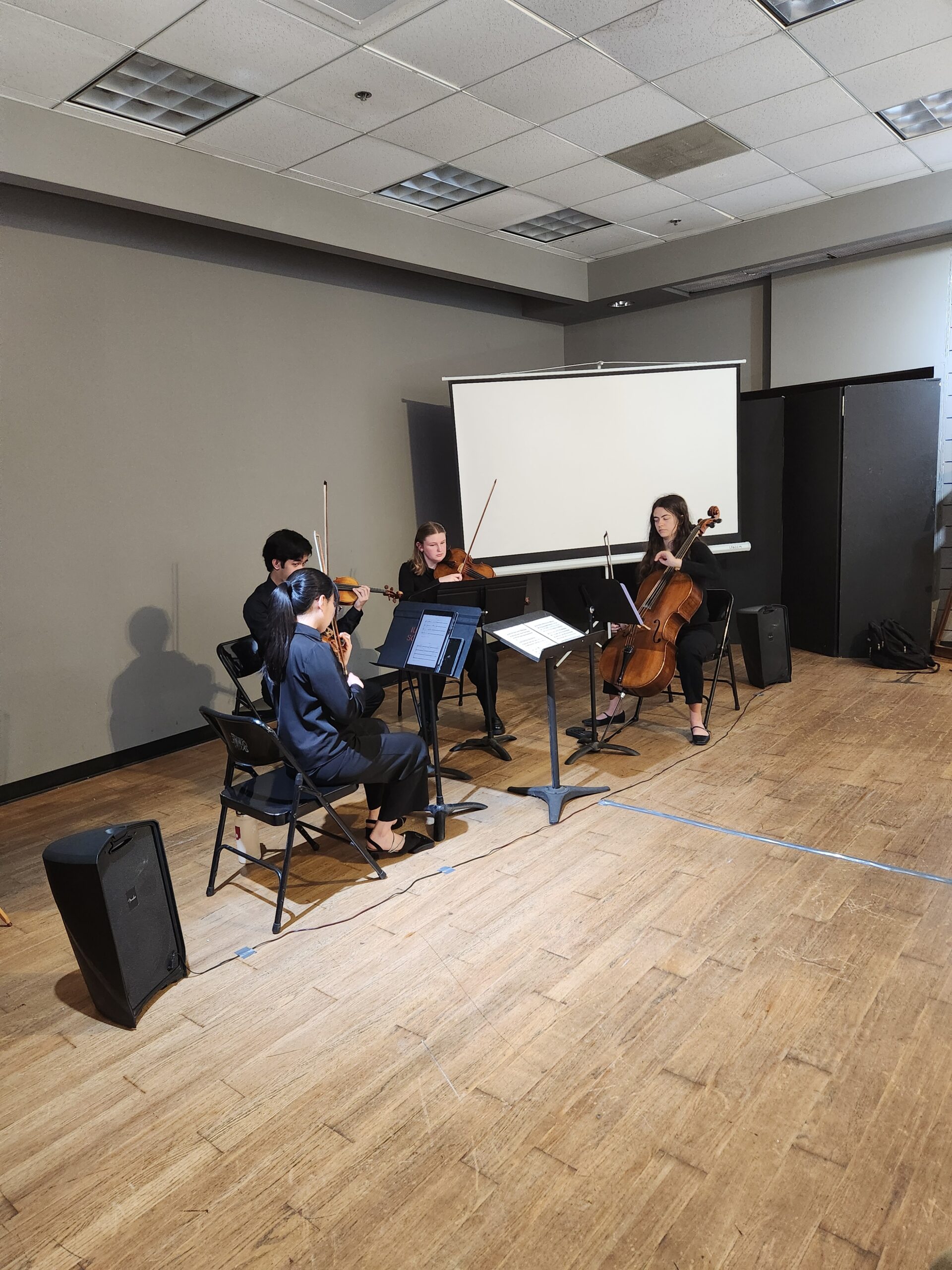 Nature Walk Music - Artists for Climate Awareness